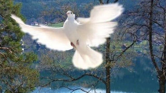 Оживи мои губы Светлана Беликина и FRANZ Ehret Franzus и авт муз  сл Вячеслав Краснов Авт НРудакова