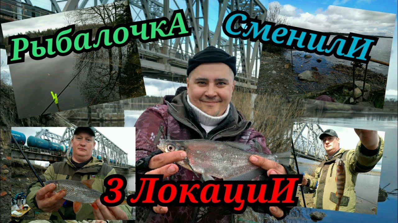 Рыбалка в "4к" весной на фидер на Шексне и Суде в мае 2021!!!