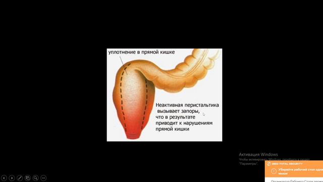 Перистальтика