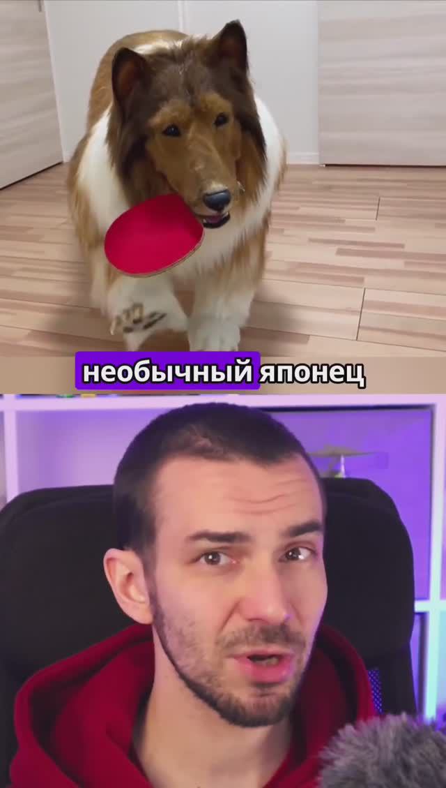 Квадробика в Японии