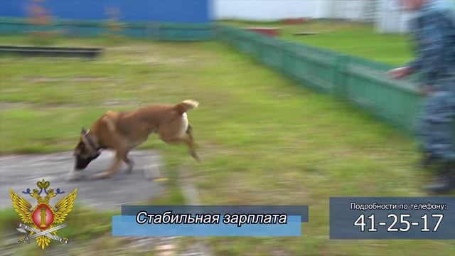 Рекламный ролик