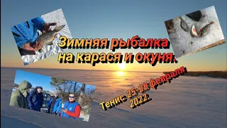 Зимняя рыбалка на карася и окуня - 2022. озеро Тенис.
