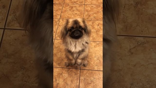 Почему я до сих пор голодный?