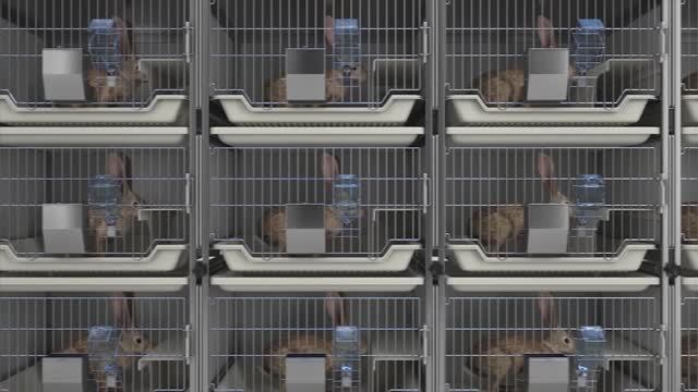 Многоярусная клетка для содержания лабораторных кроликов AWTech Евразия ПЛЮС. АВТЕХ СДЕЛАНО В РОССИИ