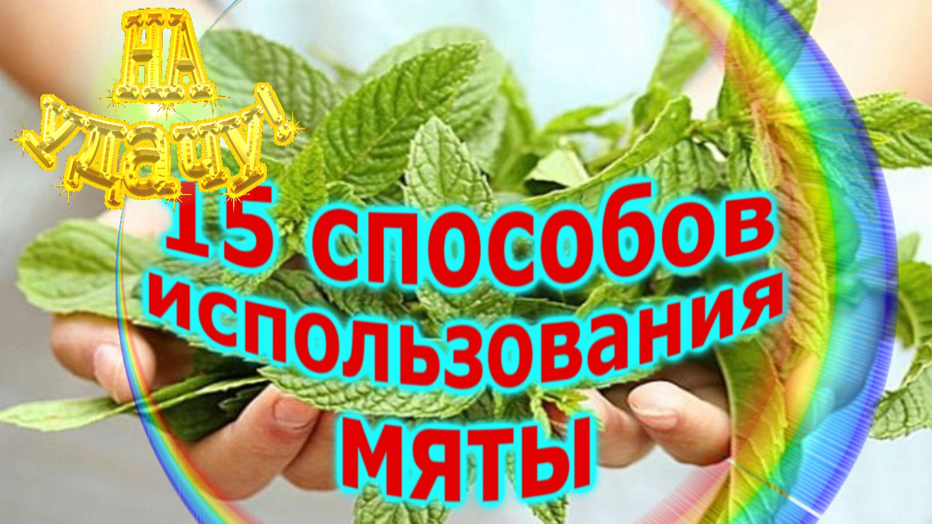 15 способов использования мяты