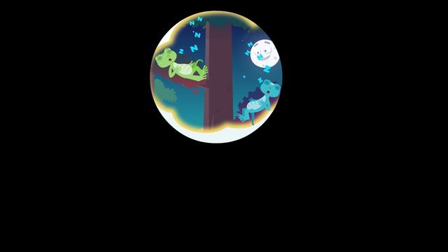 SM2ed Animated Language focus video L4 U3.2 Past Continuous questions super minds 4