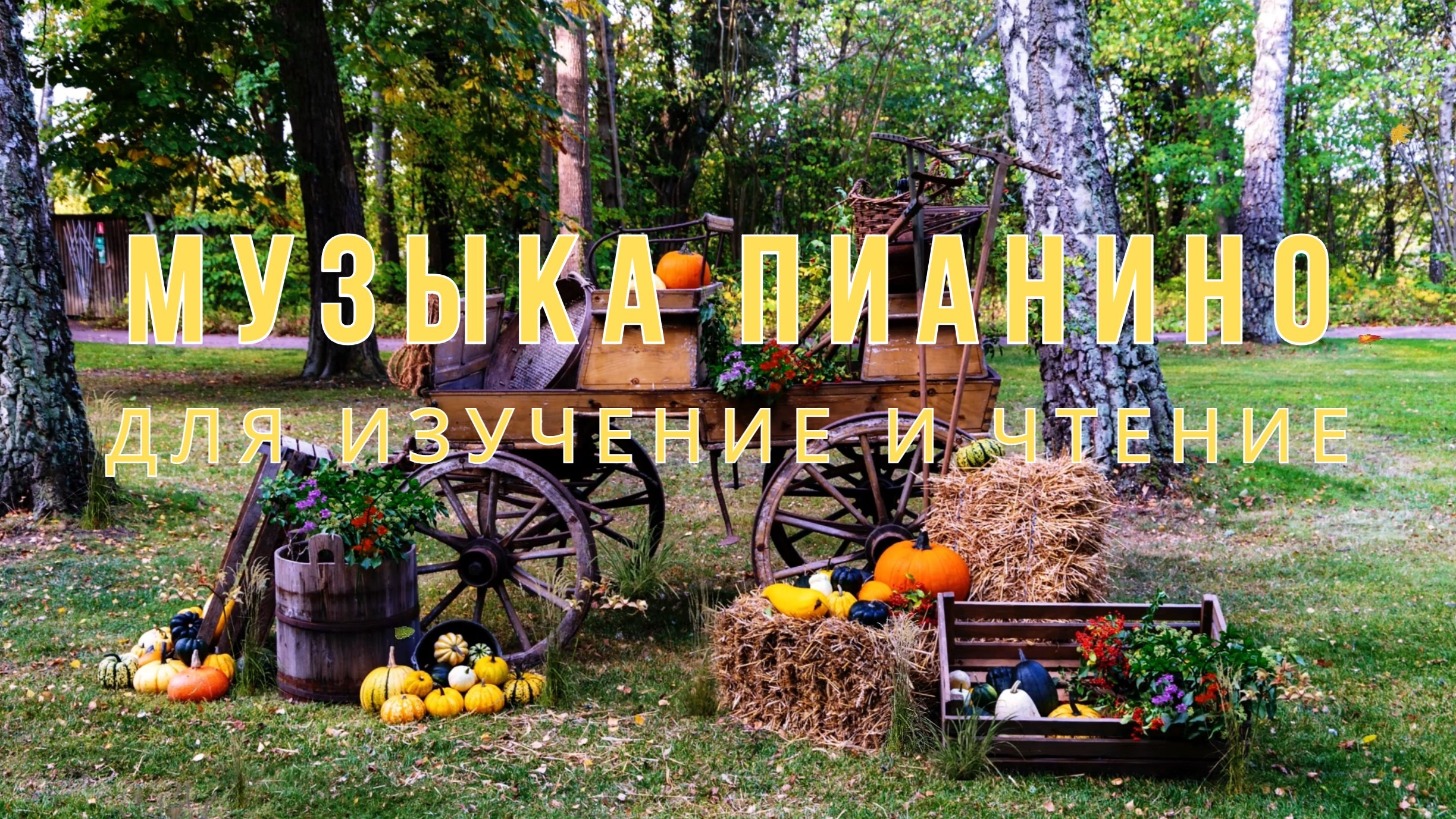 Фоновая музыка для чтения  | Повышение концентрации : Амбиентная музыка для работы и учебы