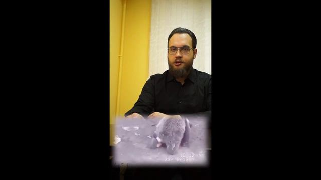 ЕСЛИ РЕБЕНОК ДРАЧЛИВЫЙ