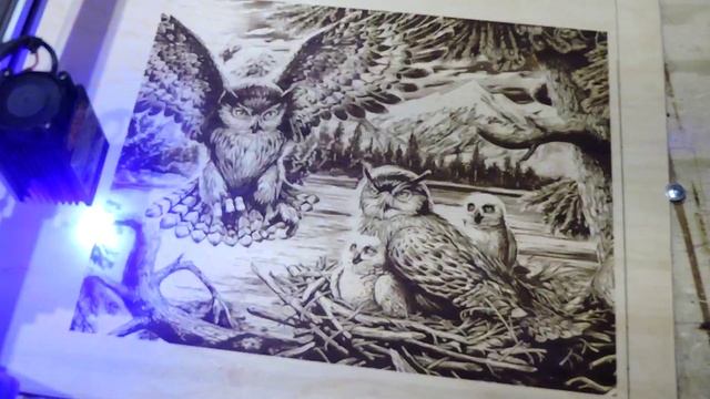 Выжигание на лазерном станке консольного типа.