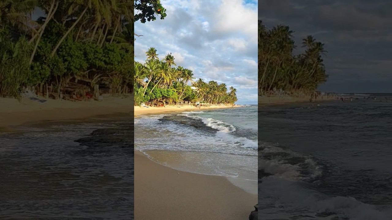 Шри Ланка ты прекрасна  #shrilanka #шриланка #travel #3туриста