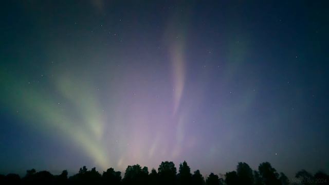 Живое видео (не таймлапс) - Северное сияние 12 августа 2024г - Кавголово, Ленинградская область