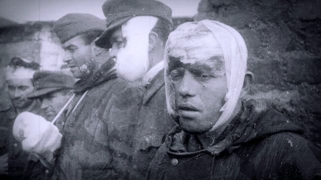 28. "Внутри снимка"/ГТРК "Саратов".