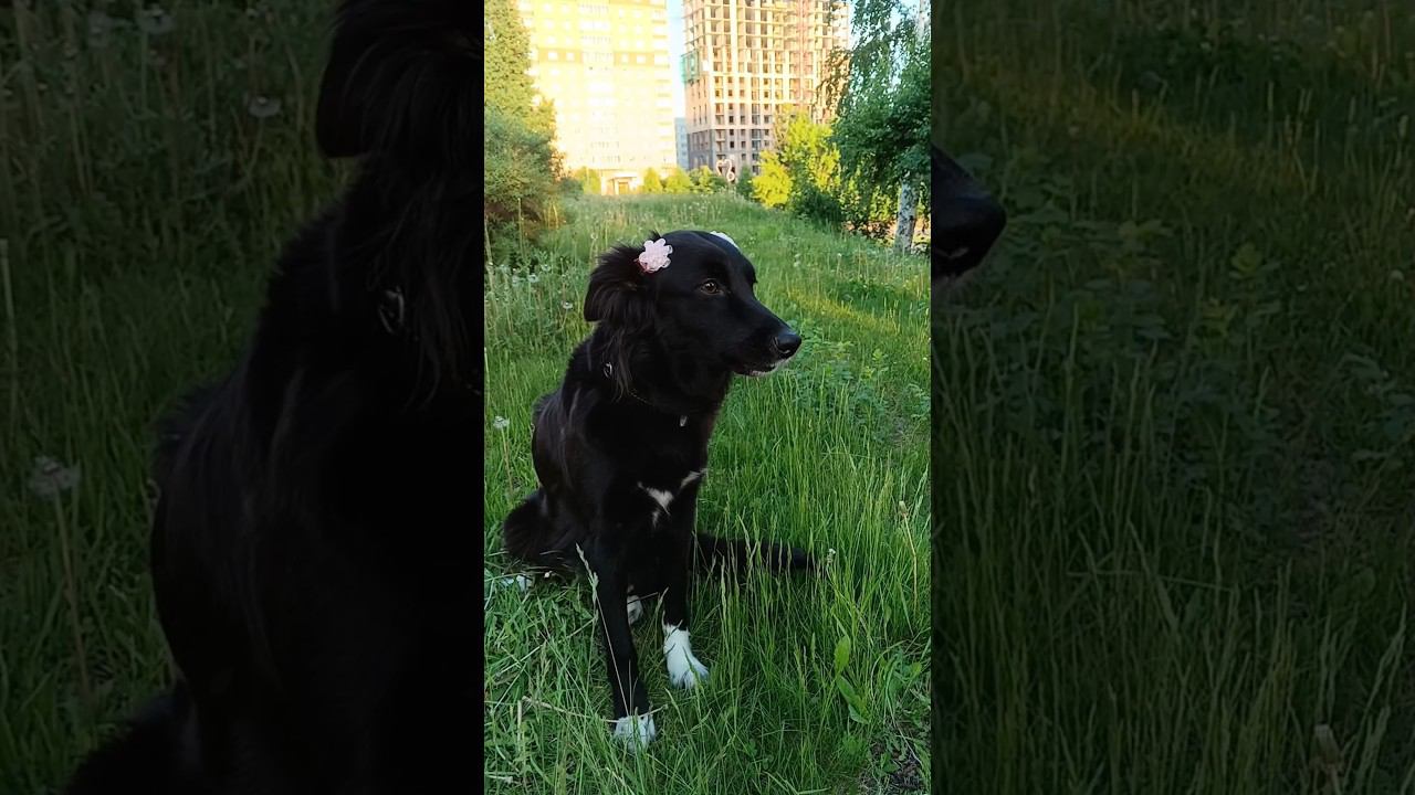 Айкин косплей😁