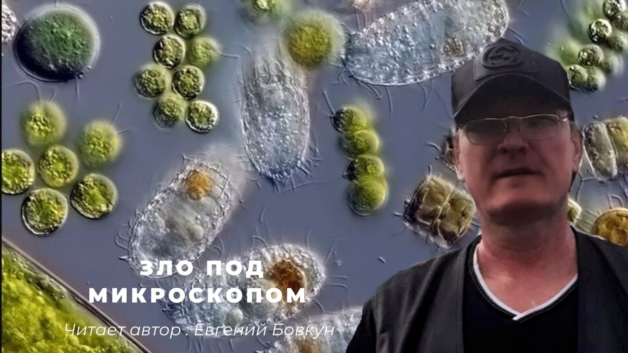Зло под микроскопом. О том как маленький микробы способен влиять на всё человечество. Читает автор.