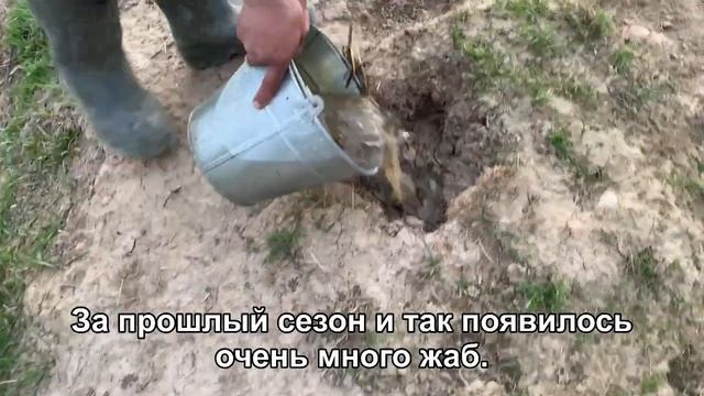 Наконец-то!!! Первый трофей и Майские хлопоты. Как без них....?