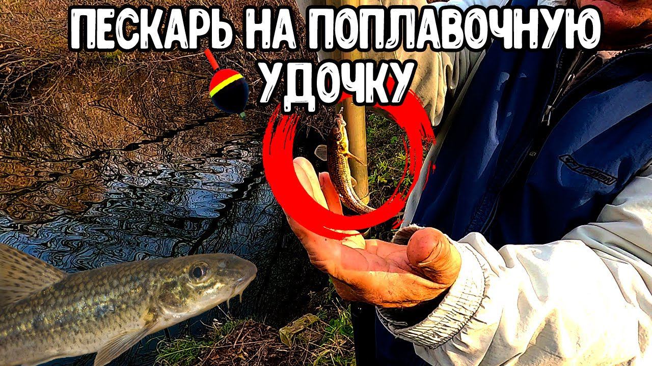 Ловля пескаря на малой речке.Осень,октябрь.