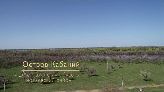 Остров Кабаний. Весна. Нижняя Волга. Астраханская область. База Волжская.