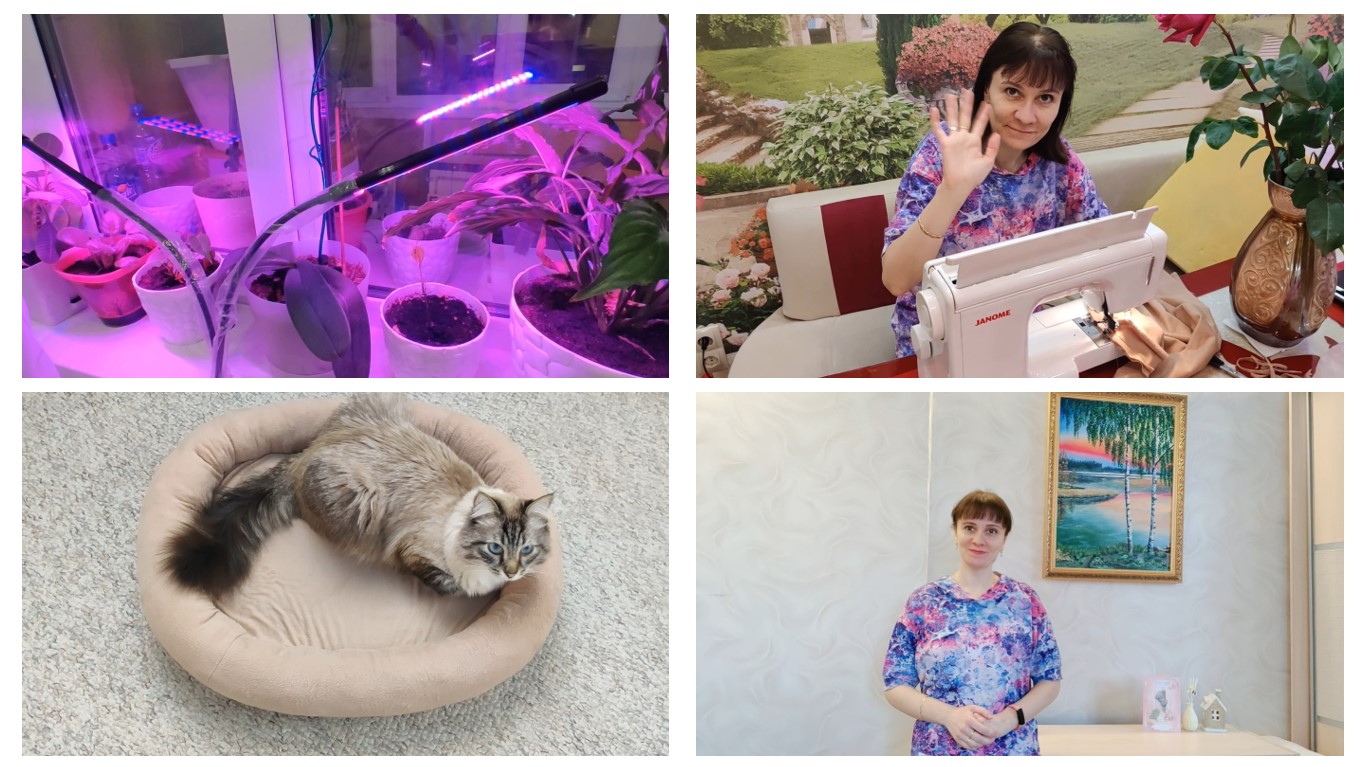 Сшила лежанку для кота. Восстанавливаю домашние цветы. Мы не пропадём, у нас есть и другие платформы