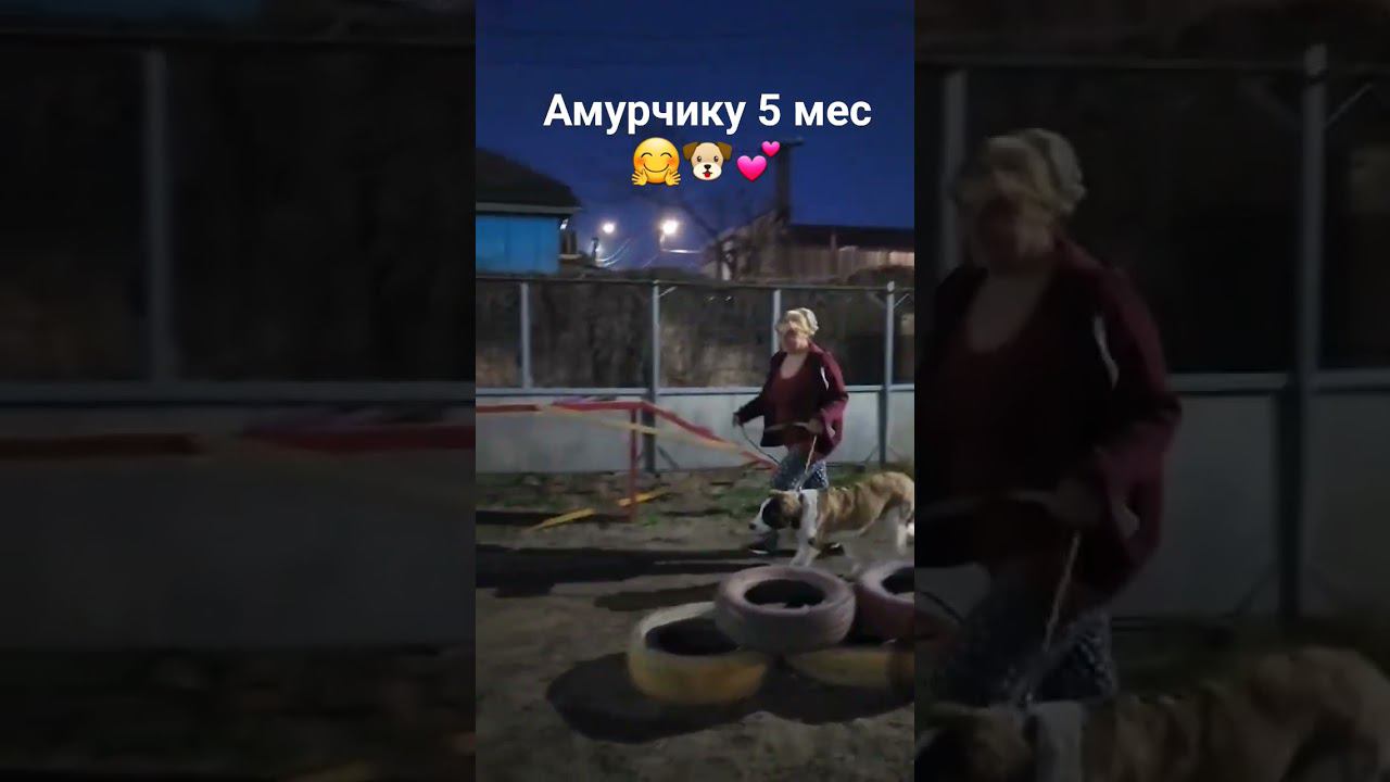 Амуру 5 мес