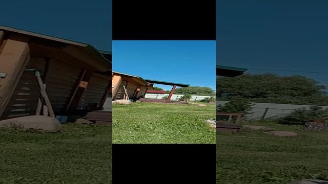 Быстрее ветра!