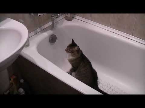 Водные процедуры