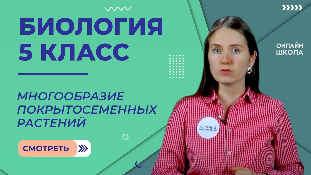 Покрытосеменные растения. Многообразие покрытосеменных. Видеоурок 32. Биология 5 класс