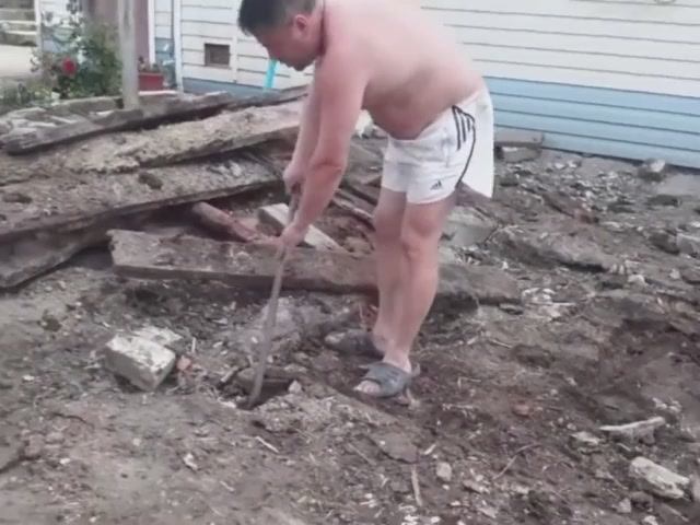 ЛОМАЕМ КУРЯТНИК.  ЧАСТЬ2