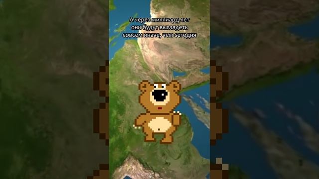 Мишка и движение