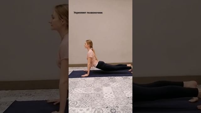 УРДВА МУКХА ШВАНАСАНА (Собака мордой вверх)