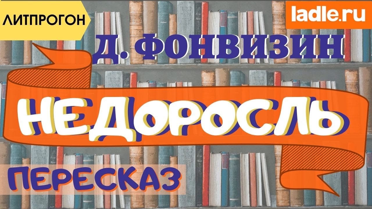 Краткий пересказ пьесы на современный лад. Комедия "Недоросль" - Фонвизин. Анализ Литература 8 класс