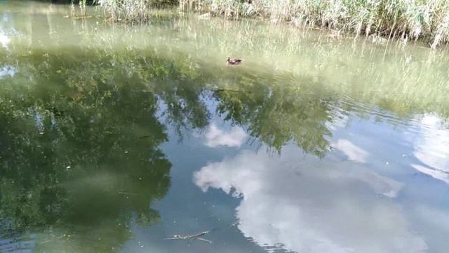 Подарок-сюрприз для моих детей и наше новое-старое хобби. Начало нового раздела.