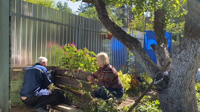 Ура! Завезли конский навоз на дачный участок. Сентябрь 2023