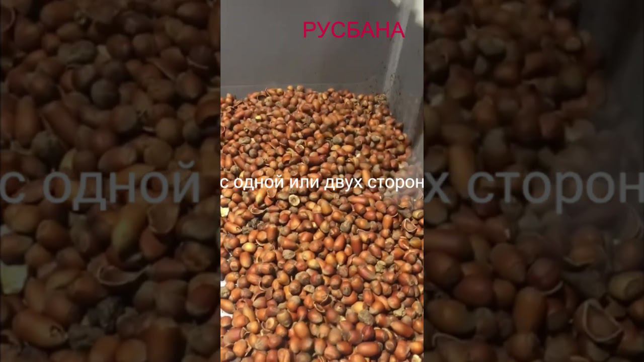 Гиперспектральные камеры на оптическом сортировщике орехов