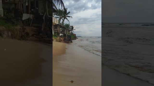 Море. Шри-Ланка. 2021 2022.mp4