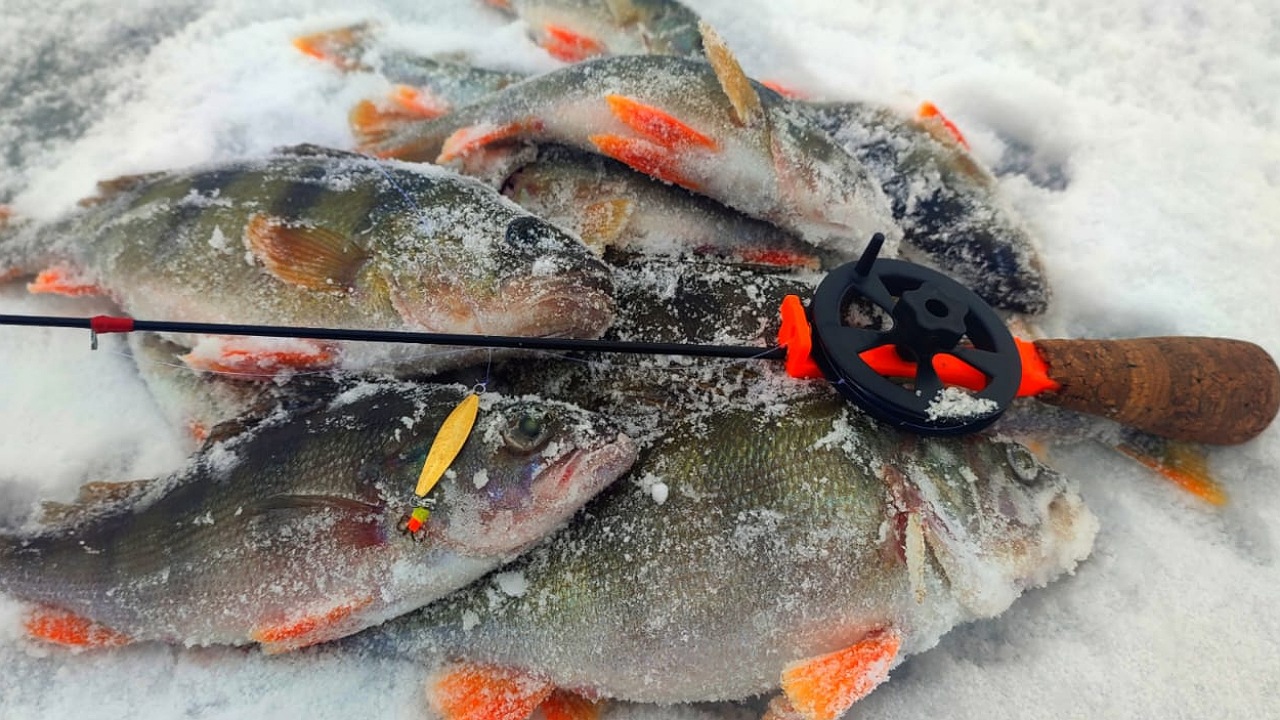 ДУШЕВНАЯ РЫБАЛКА!!! Ловим щуку на жерлицы. Жарим сало на костре!