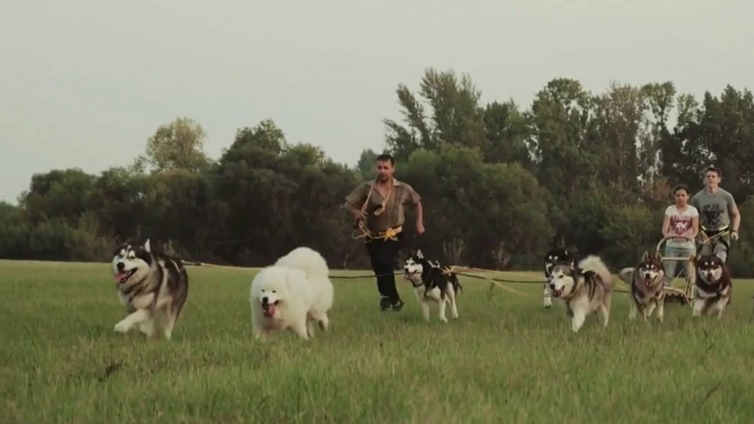 Семинар, Липецк, 05.09.2015,