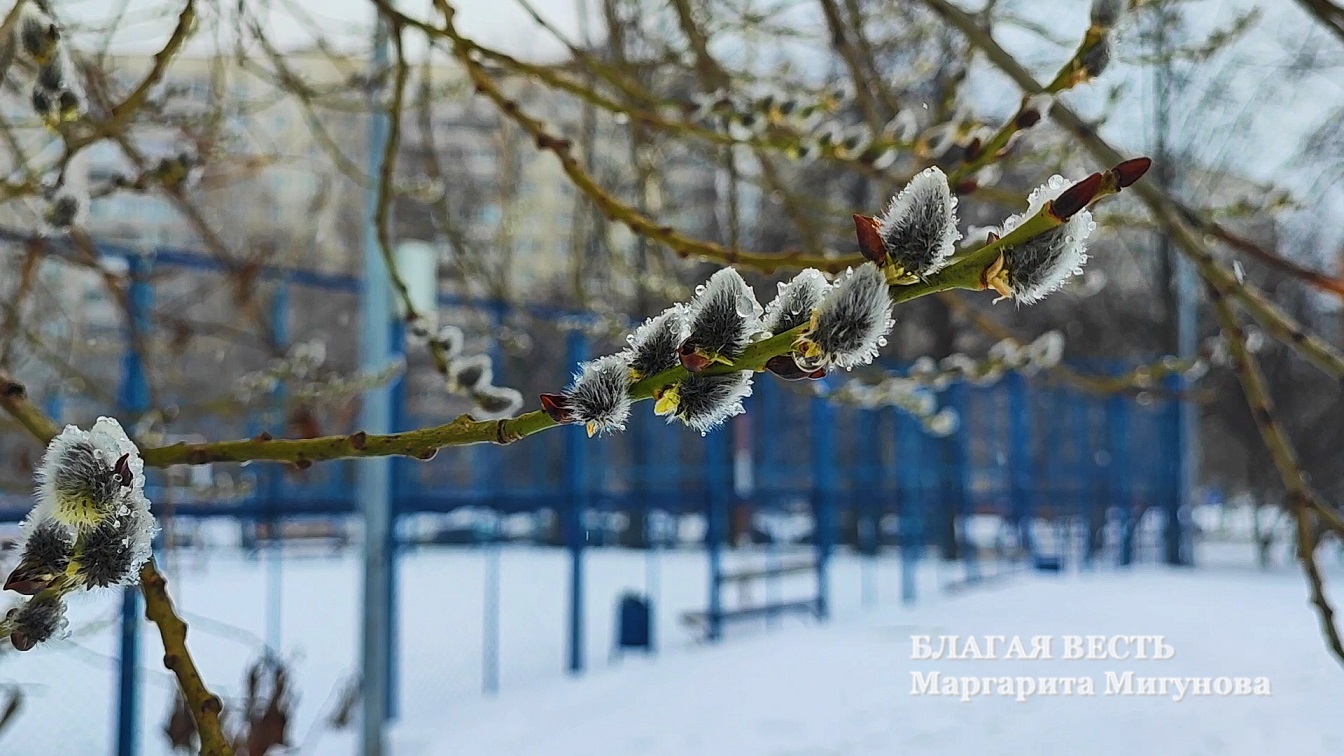 Благая весть. Читает автор Маргарита Мигунова.