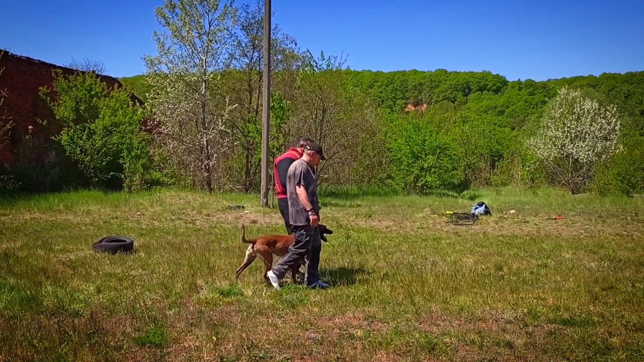 Охрана проводника 29.04.2020