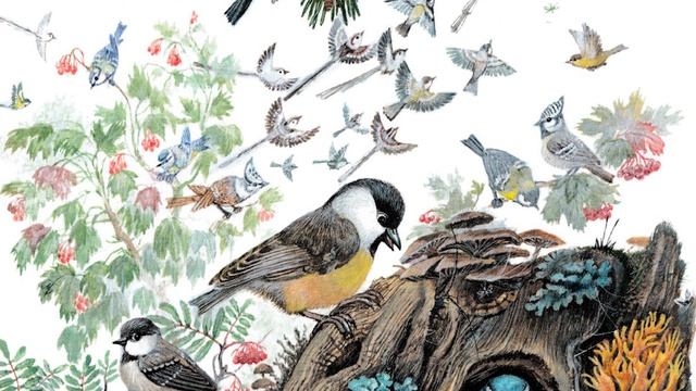 Синичкин календарь. Июль