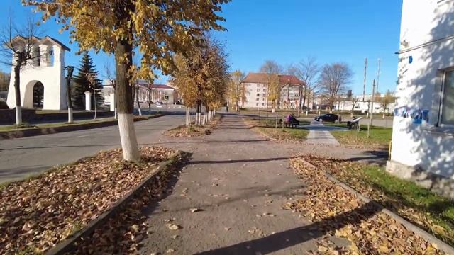 Октябрь 2021 Домашний блог DJI 0473 DJI 0481.mp4