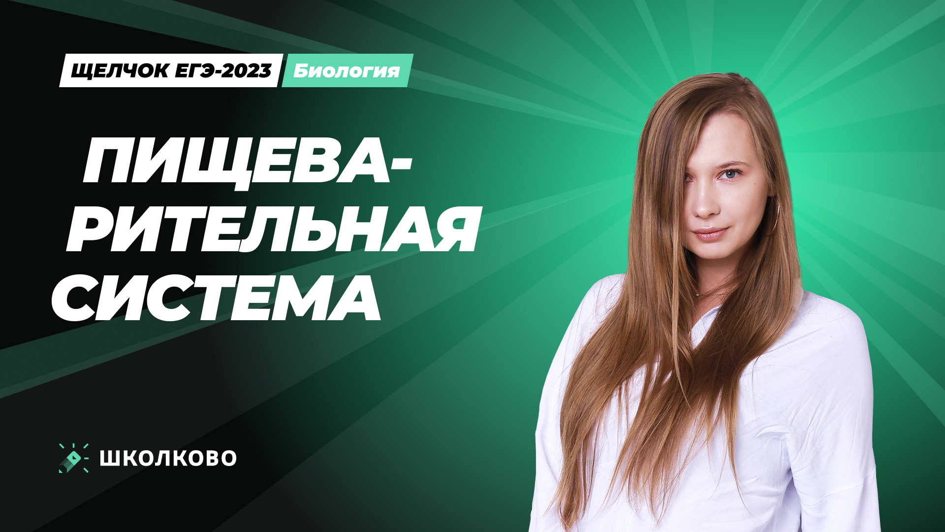 Пищеварительная система. Ролик.