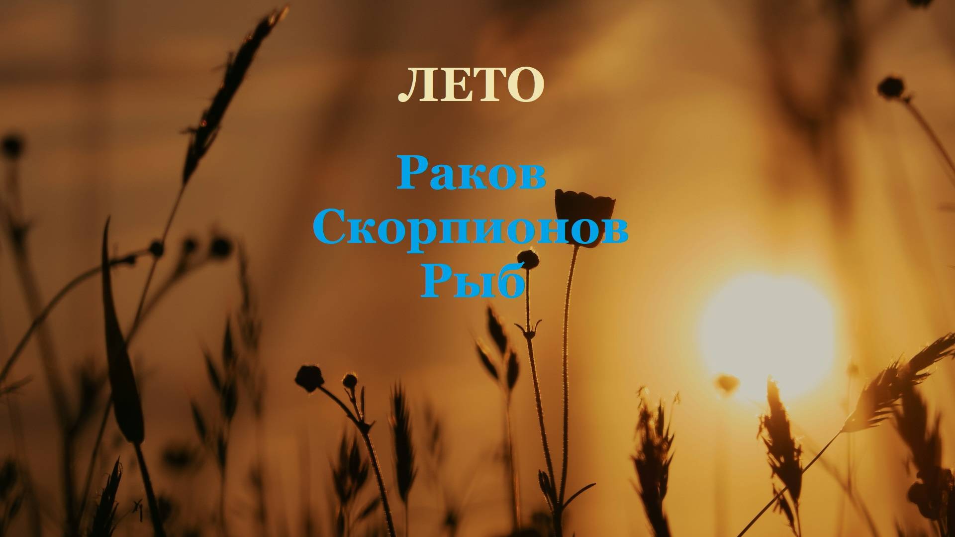 ЛЕТО РАКОВ, СКОРПИОНОВ, РЫБ - ЧТО ГОТОВИТ СУДЬБА?!