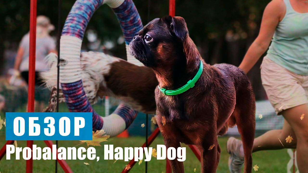 Обзор кормов для собак  Probalance. Happy Dog.