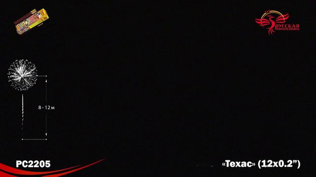 РС2205 Техас