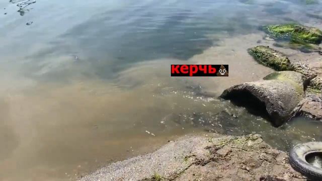 В Керчи на набережной напором в море стекает дерьмо.