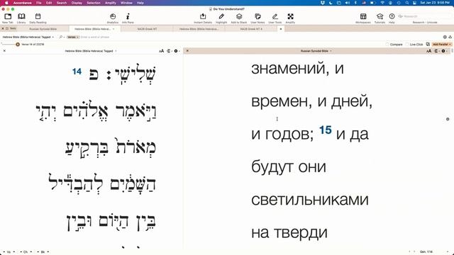 13. Виталий Олейник Разумеешь ли, что читаешь Функции небесных тел. Бытие 1_14-19.mp4