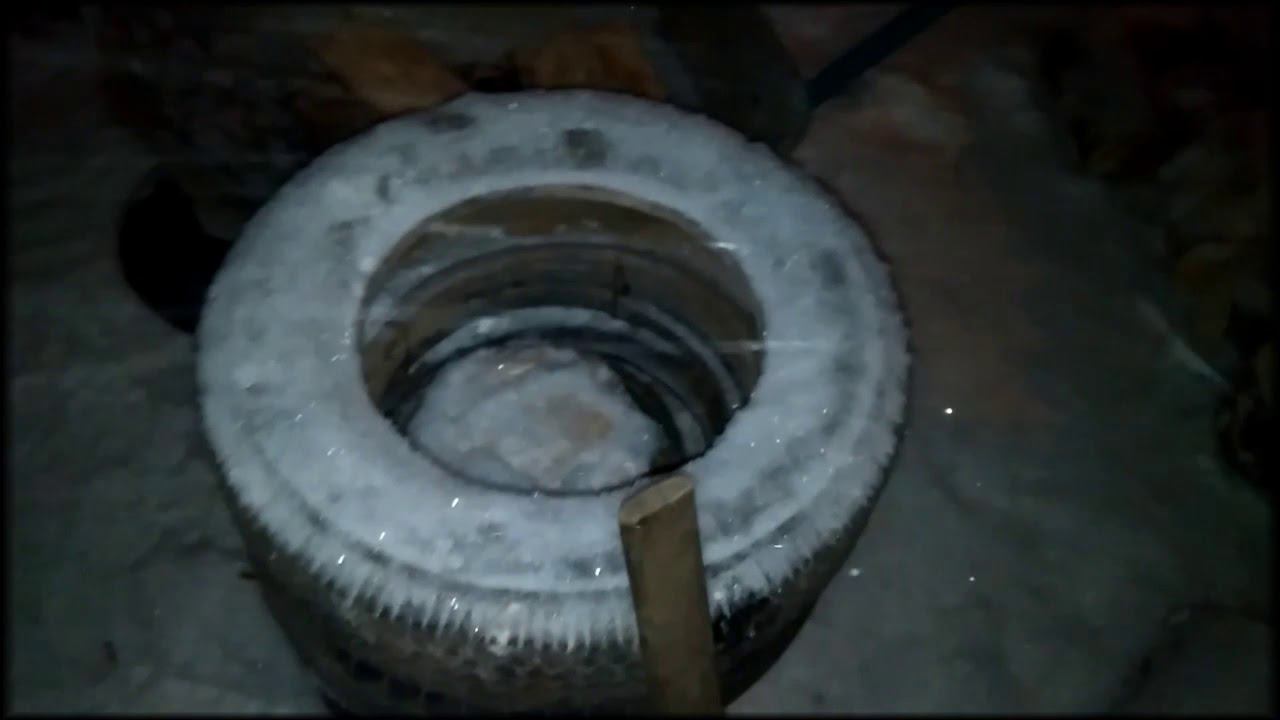 Валежник за два дня.