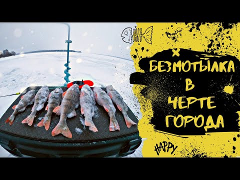 Рыбалка на безмотылку в городе I Вернули камеру