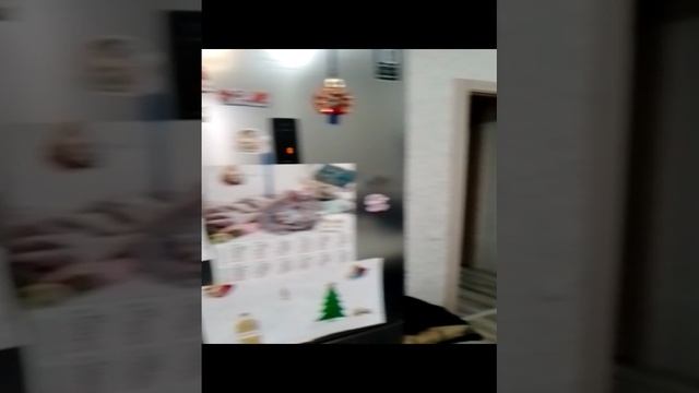 Замедоенный полёт