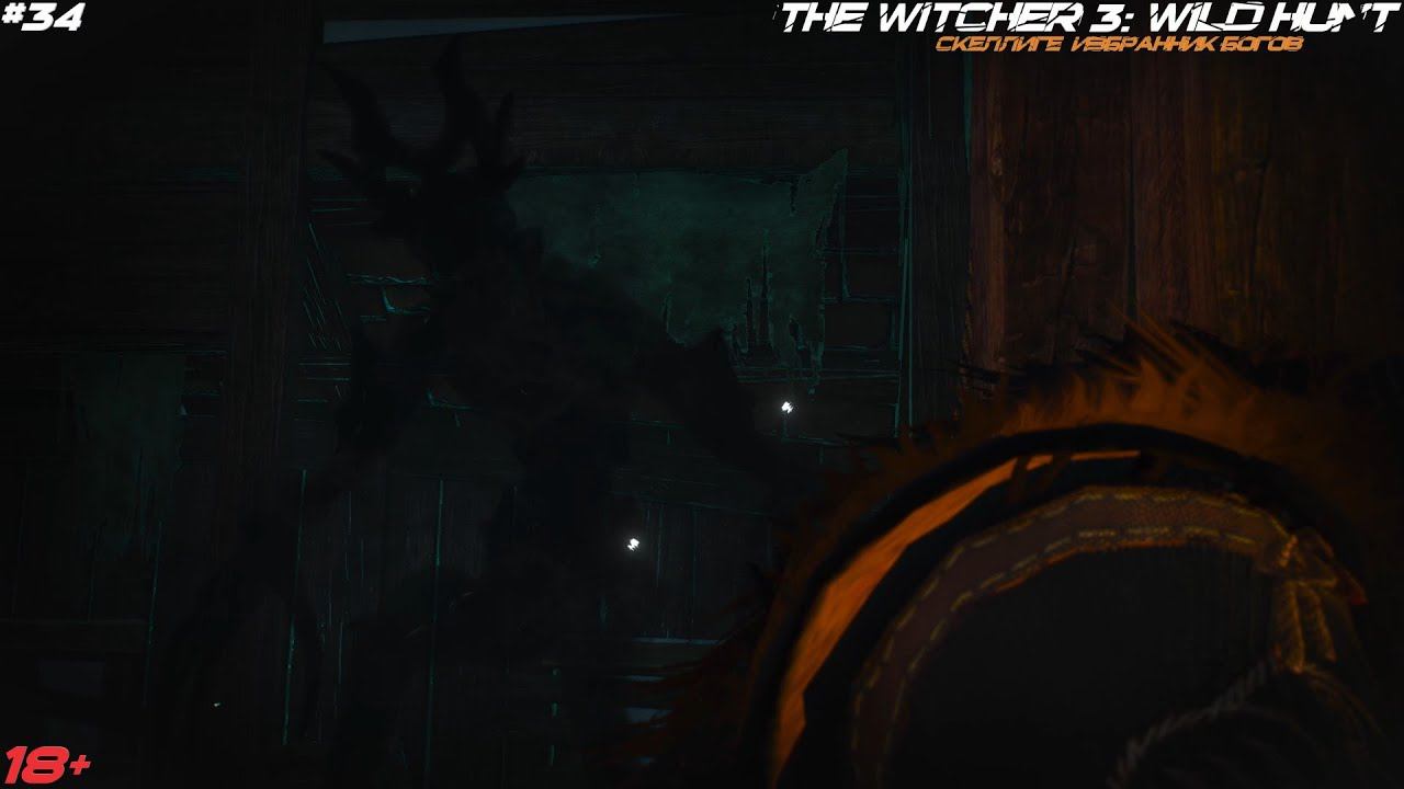 The Witcher 3 Wild Hunt - Скеллиге - Избранник богов - #34 - 18+